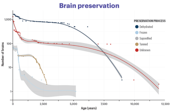 Analyze This: Human brains can last thousands of years