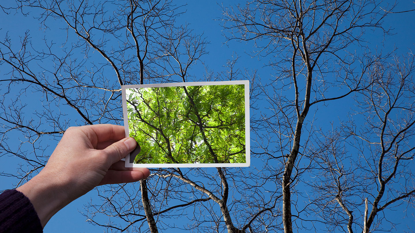 Scientists Say: Circumnutation