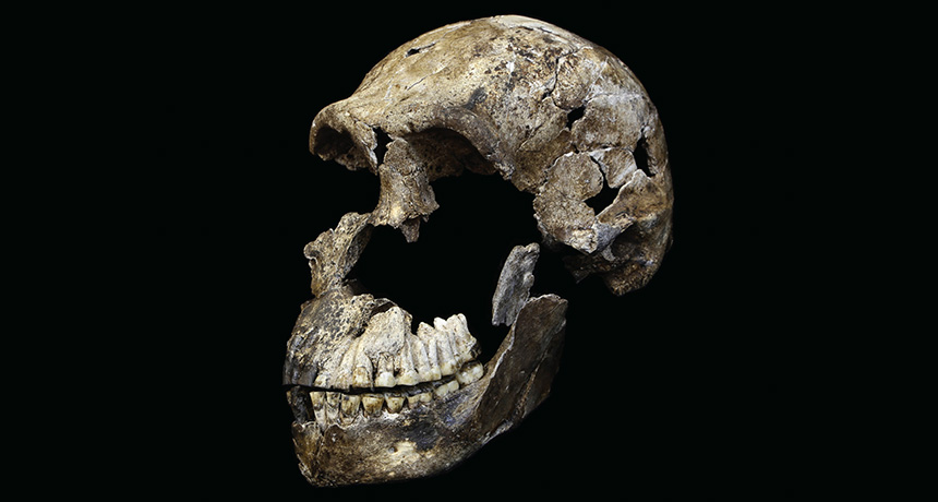 This hominid may have shared Earth with humans