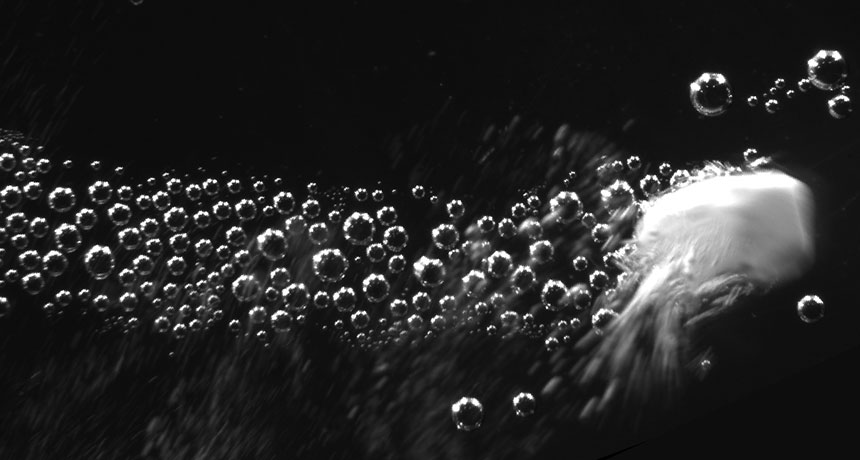 These bubbles treat wounds