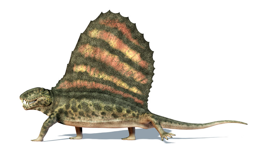 This prehistoric meat eater preferred surf to turf