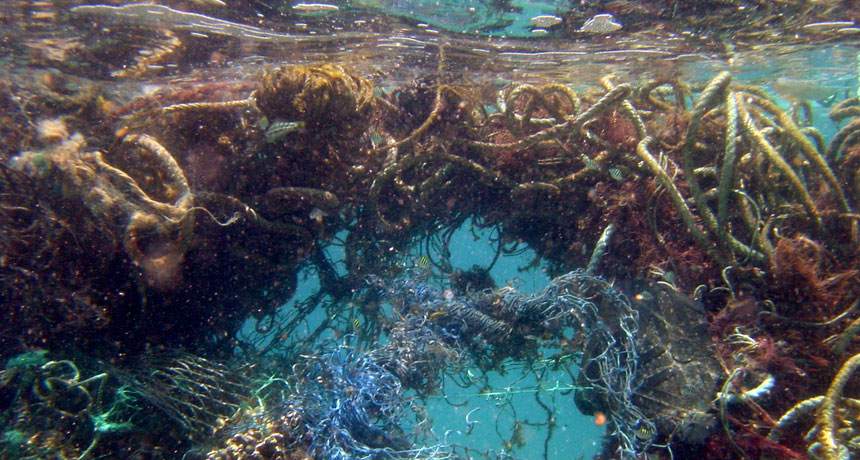Plastic trash travels up to Arctic waters
