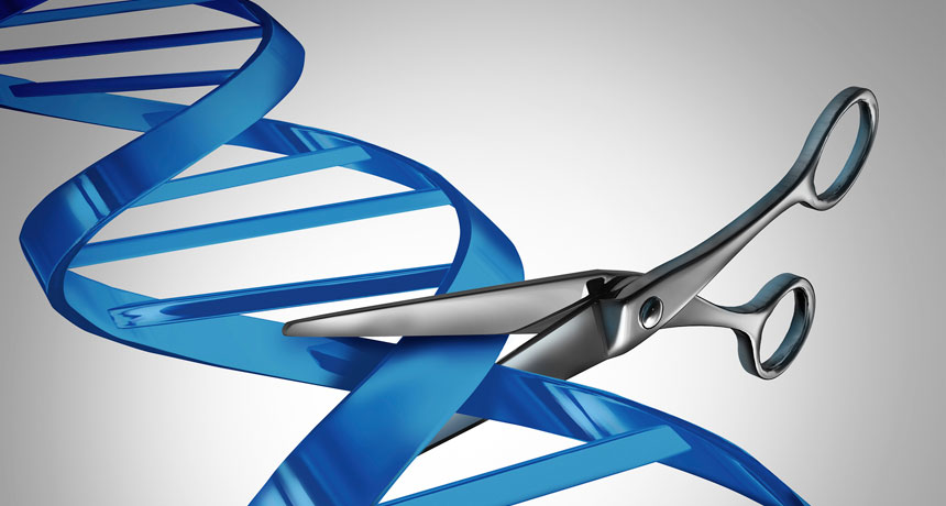 Expert panel approves human gene editing