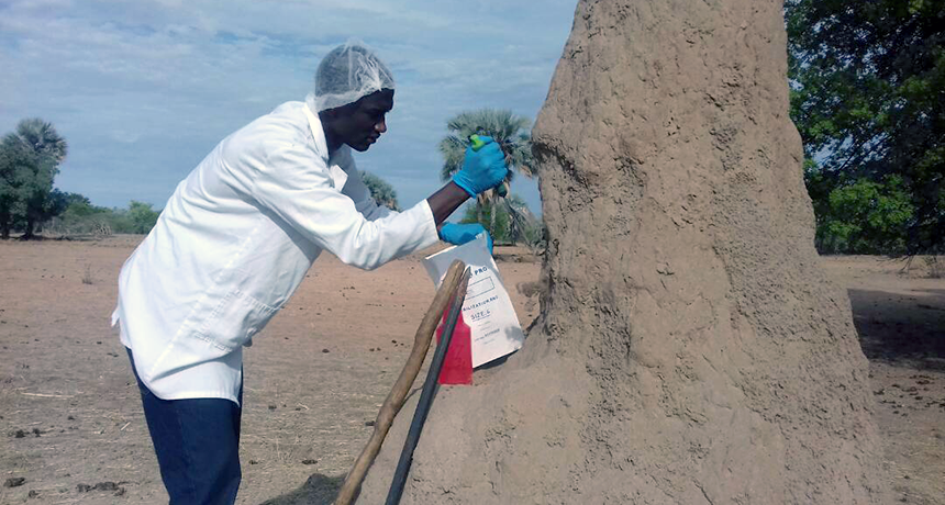 Science on a shoestring