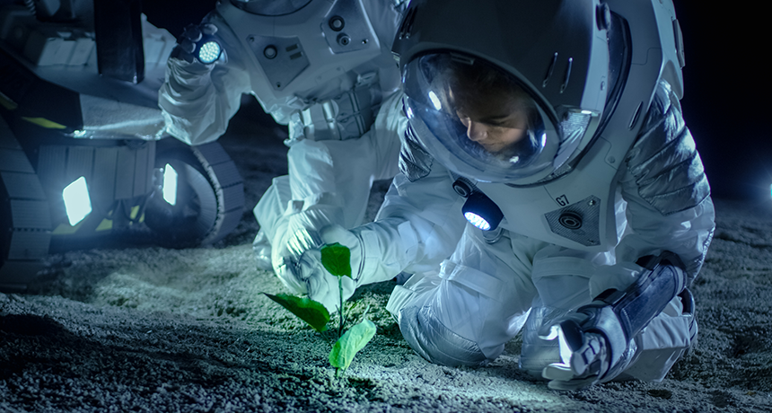 High-tech crops may survive harsh conditions, even space