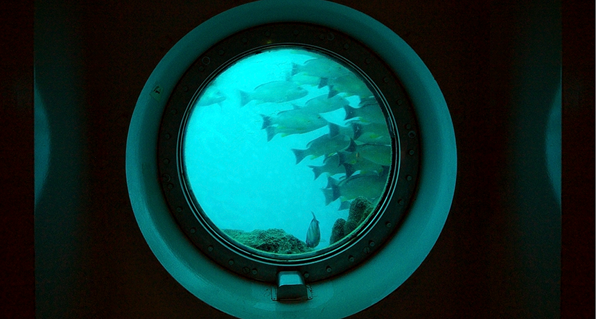 A self-cleaning glass keeps itself spotless underwater