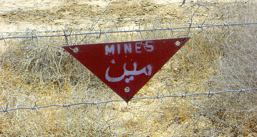 Heat signatures help track down old and still deadly land mines