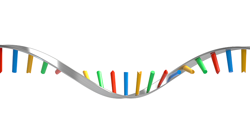 Scientists Say: RNA