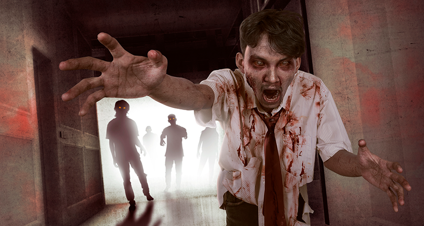 Bacteria and bugs will save us from the zombie apocalypse