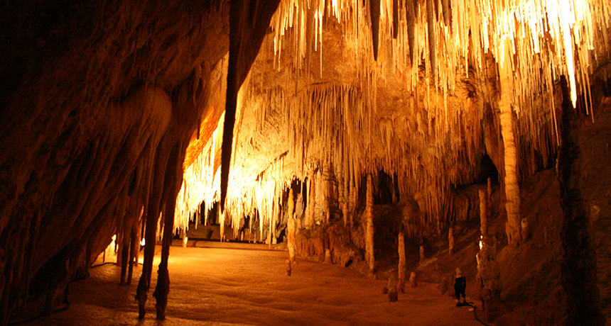 Questions for ‘Cool Jobs: Bringing caves' dark secrets to light ...