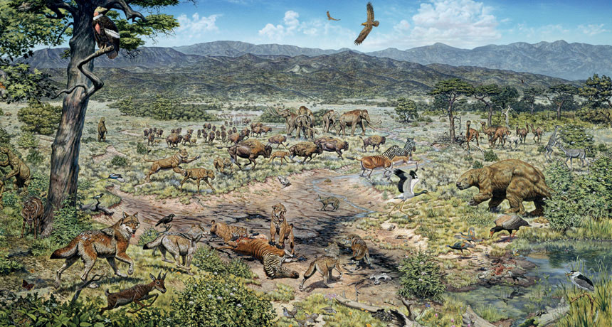 Tar pit clues provide ice age news