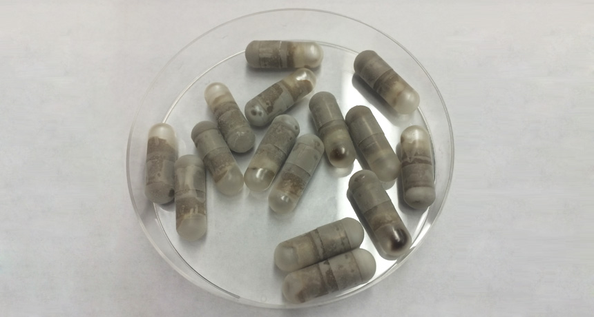 Pills of frozen poop fight killer disease