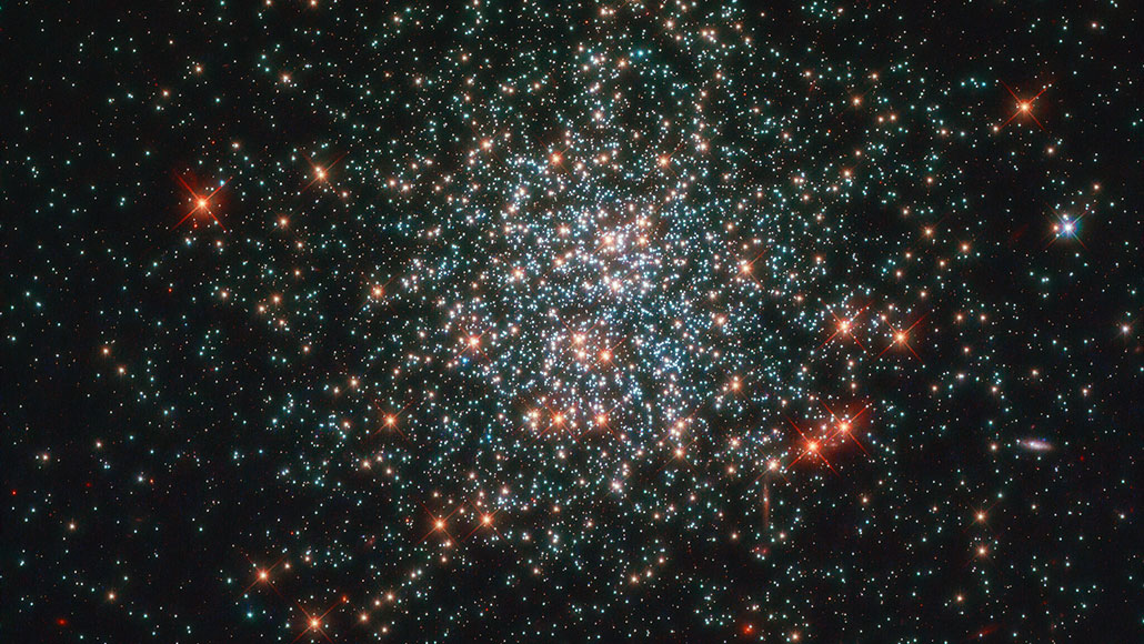 Explainer: Stars and their families
