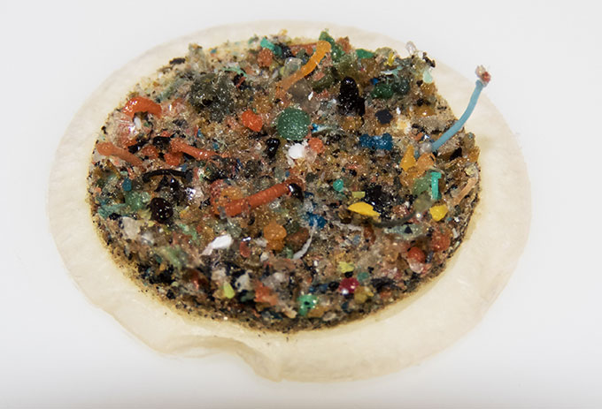 Polluting microplastics harm both animals and ecosystems