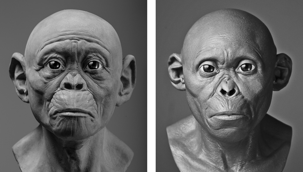 How scientists can get a better picture of our extinct relatives