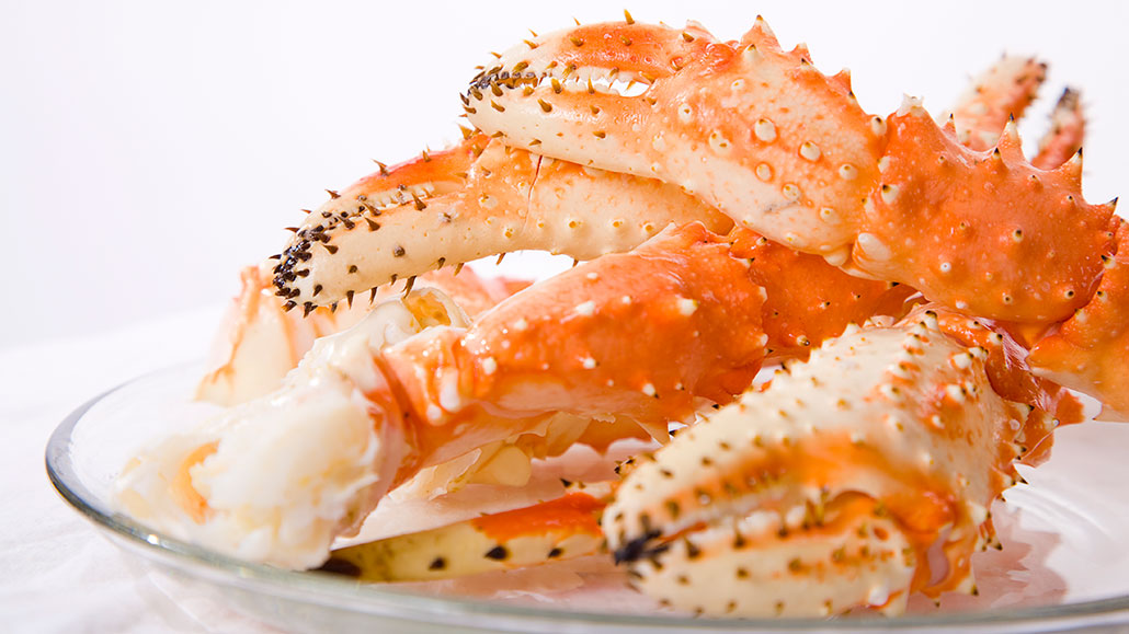 Bandages made from crab shells speed healing