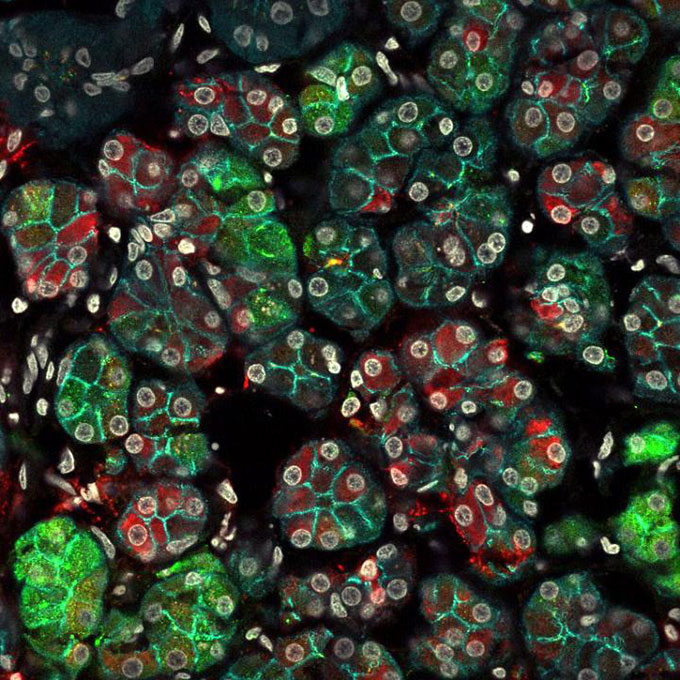 Cool Jobs: Saliva offers a spitting image of our health