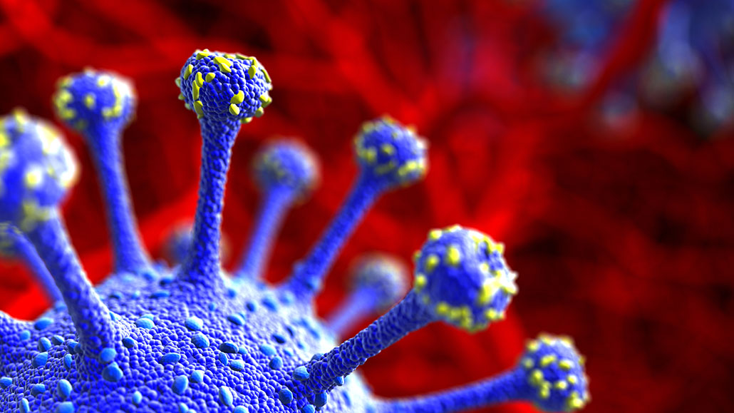 Explainer: Virus variants and strains