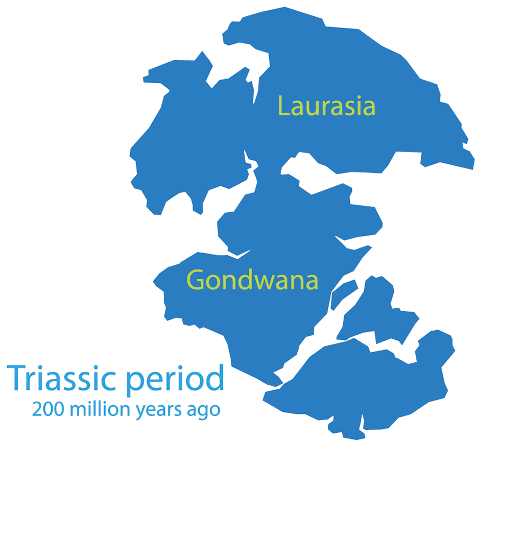 Explainer: The age of dinosaurs