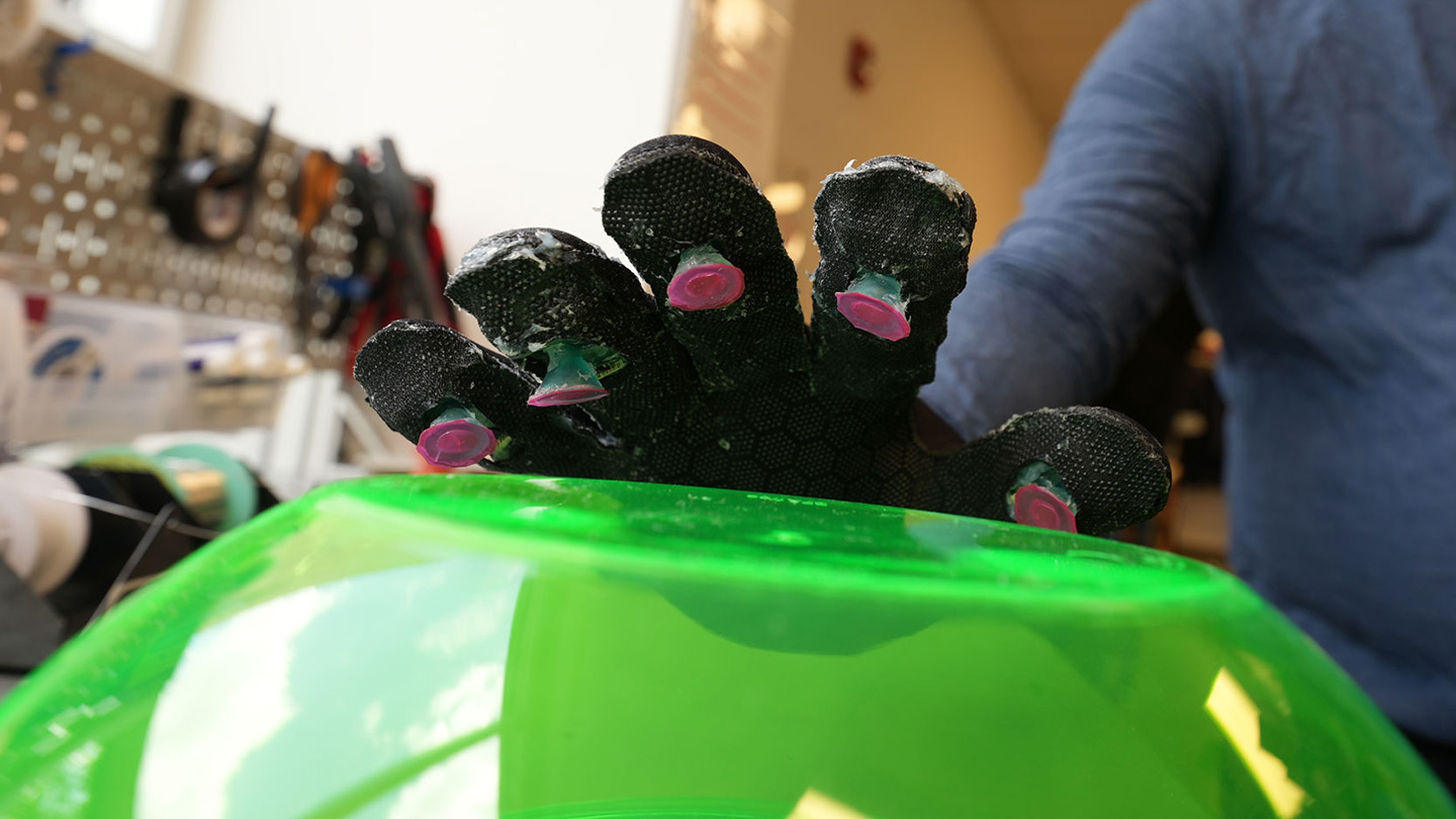 squid suction cups function