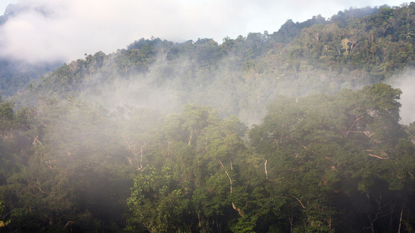 Scientists Say: Humidity