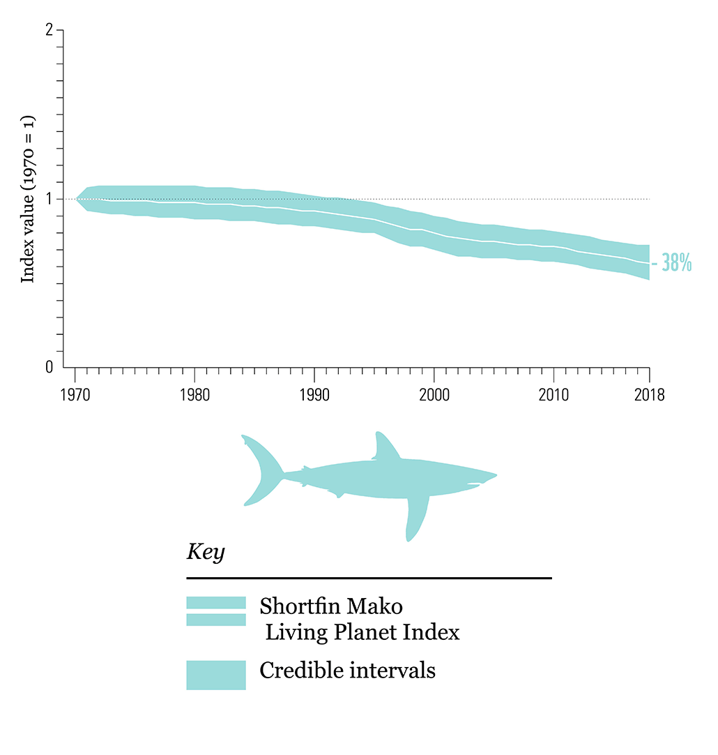 Study finds big drop in animal populations since 1970