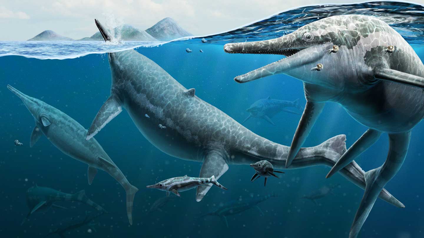 An ancient ichthyosaur graveyard may have been a breeding ground