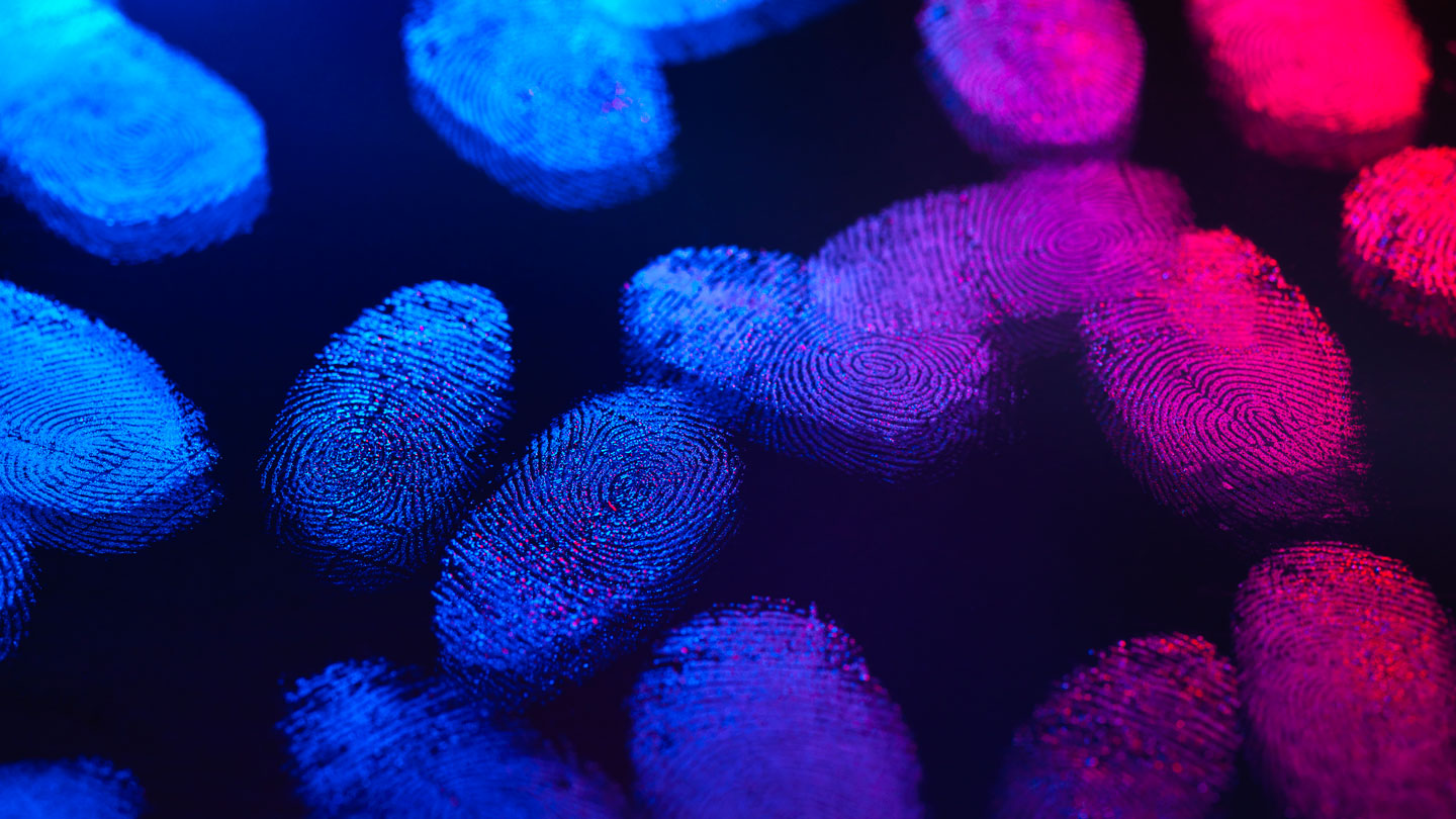 Experiment: Are fingerprint patterns inherited?