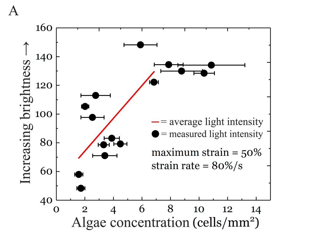 Analyze This: Algae behind blue-glowing waves light up a new device