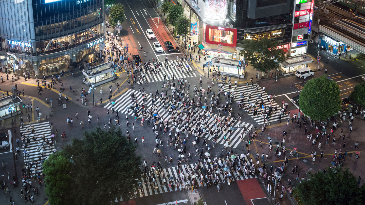 Math explains why dense crowds form surprisingly orderly lines