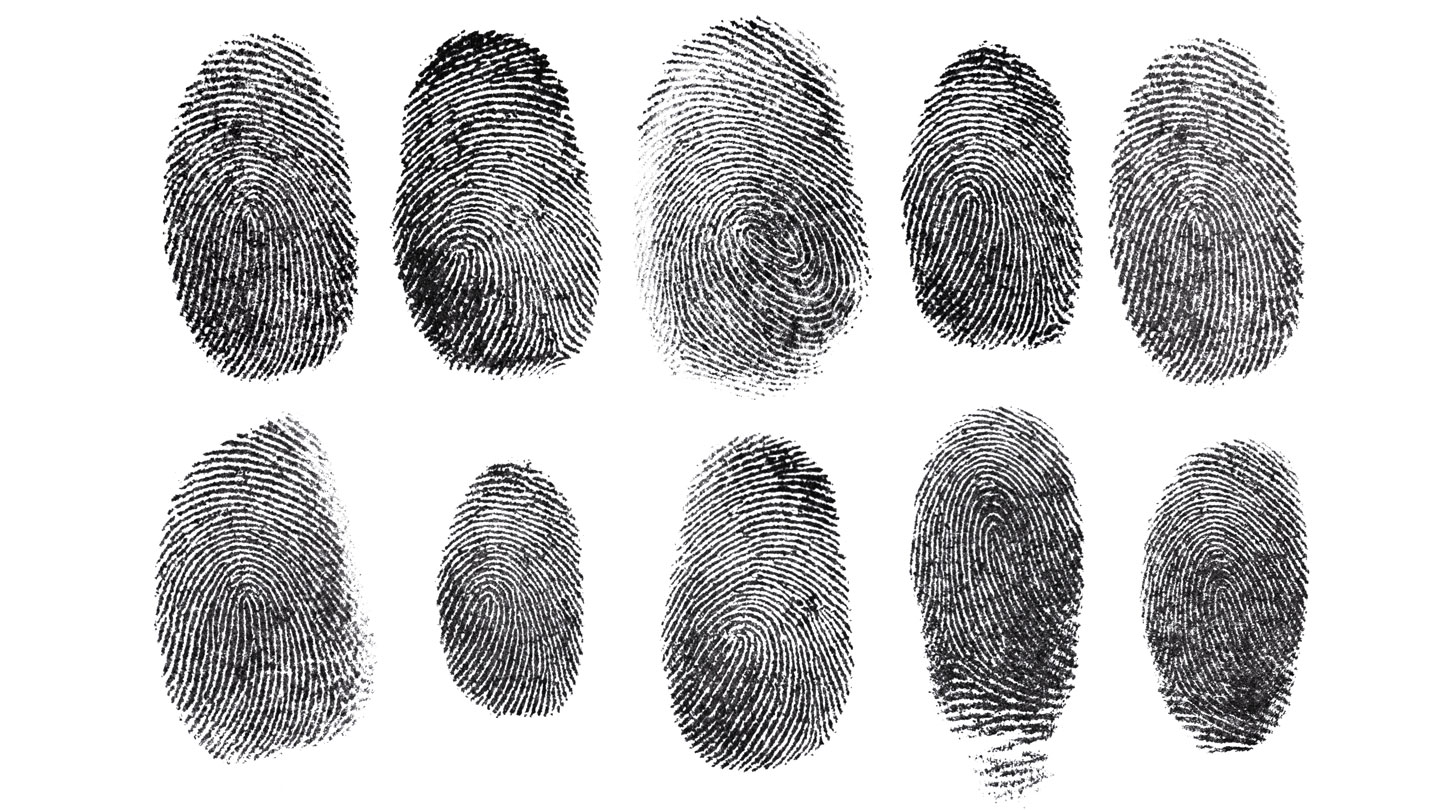 Experiment: Are fingerprint patterns inherited?