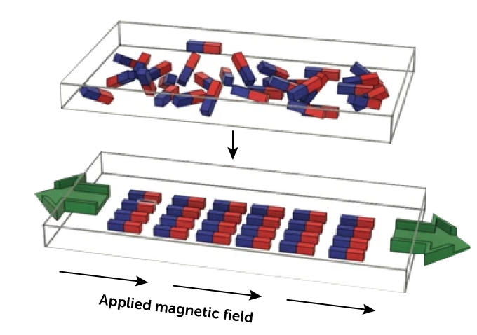 Nanobots can now enter brain cells to spy on what they’re doing