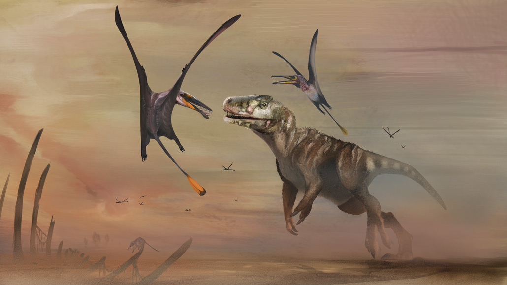 New fossils bring the wide world of pterosaurs to life