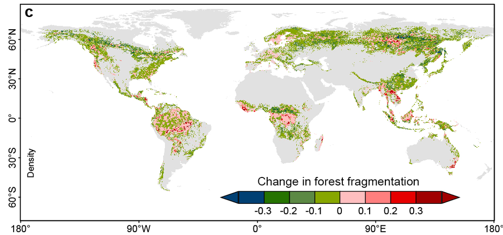 Analyze This: Tropical forests have gotten patchier
