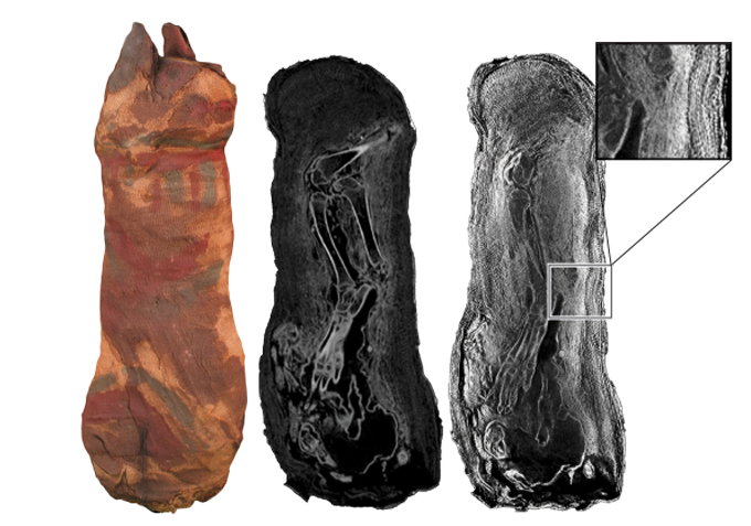 Neutrons are unveiling hidden secrets of fossils and artifacts