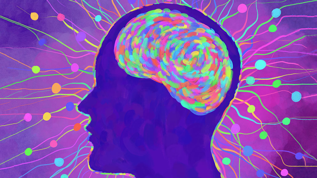 Senses help the brain interpret our world — and our own bodies