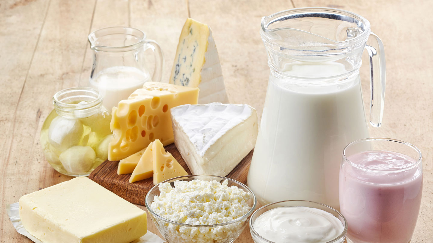 Let’s learn about useful bacteria