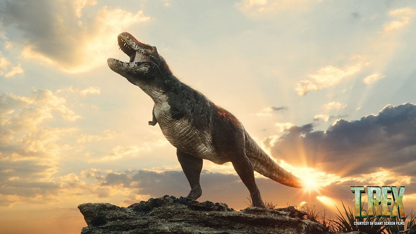 Newfound fossil is not a teen T. rex but a whole new species
