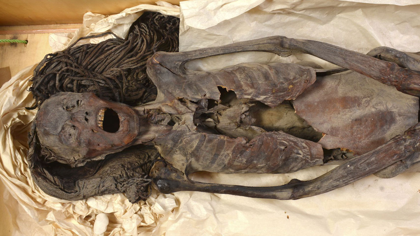 An Egyptian mummy’s silent ‘scream’ hints at her violent death