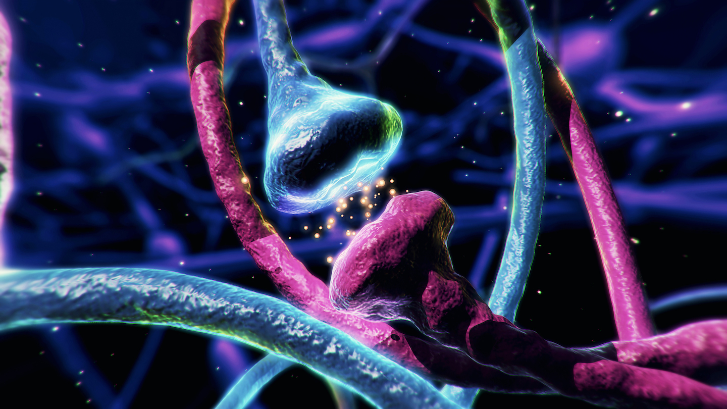 Scientists Say: Dopamine