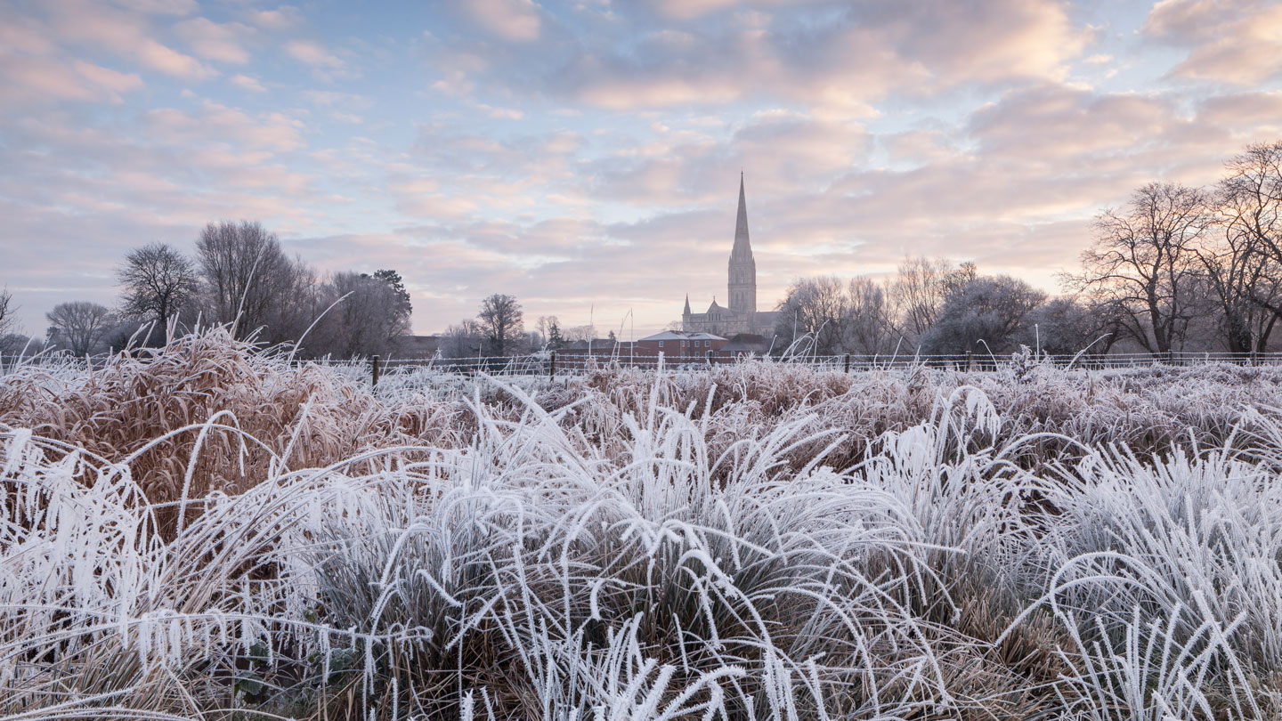 Scientists Say: Frost Quake