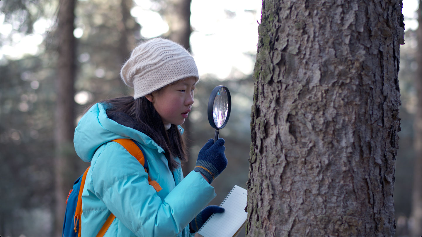How to identify tree species in the winter