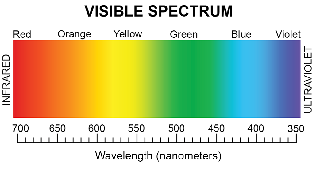 Purple exists only in our brains
