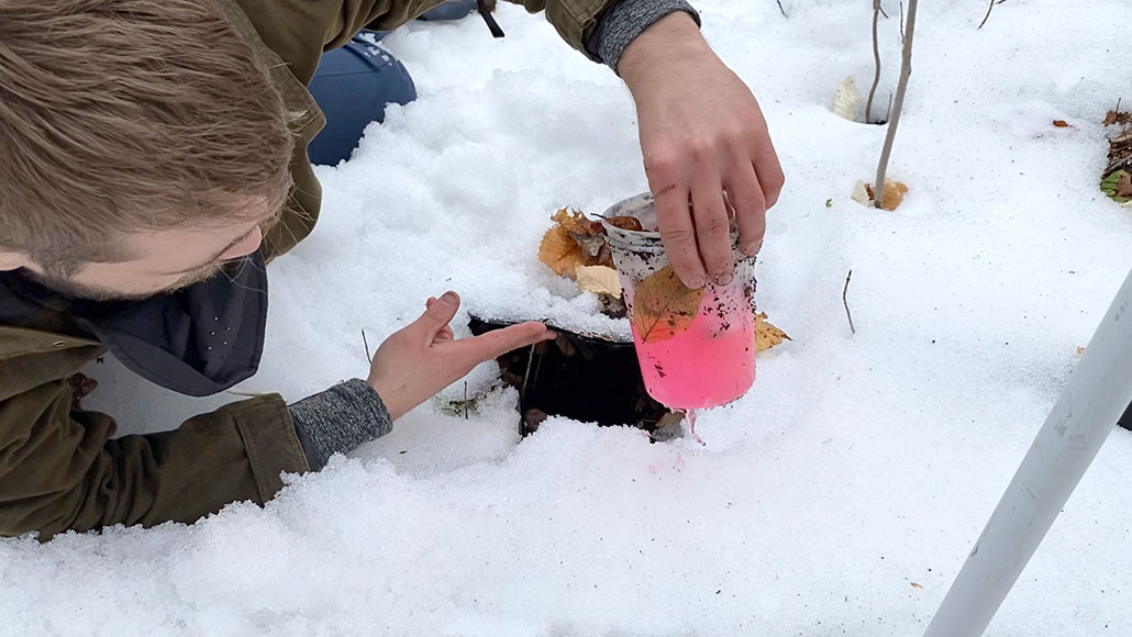 Life in the subnivium, beneath the snow, is at risk of melting away