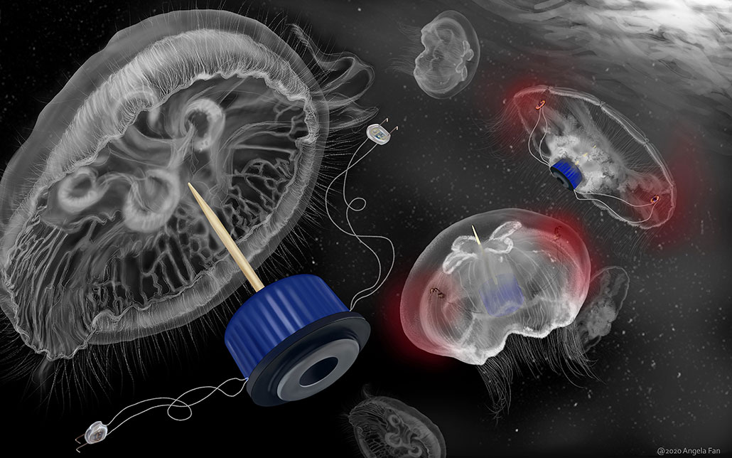 Meet 5 types of robots with living body parts