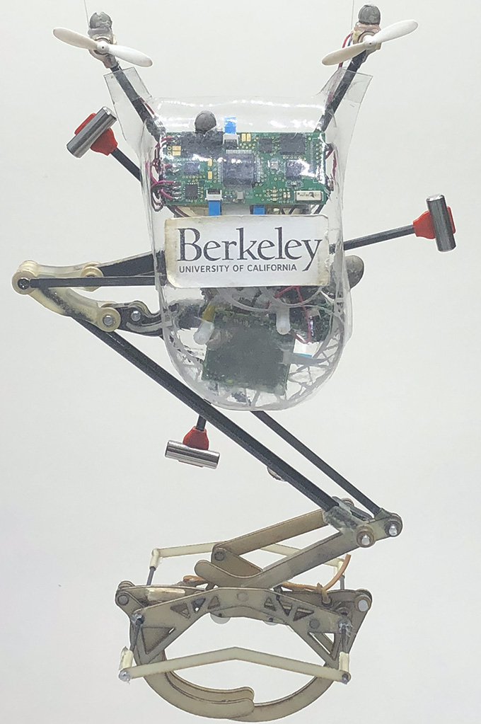This squirrel-like robot has some serious hops