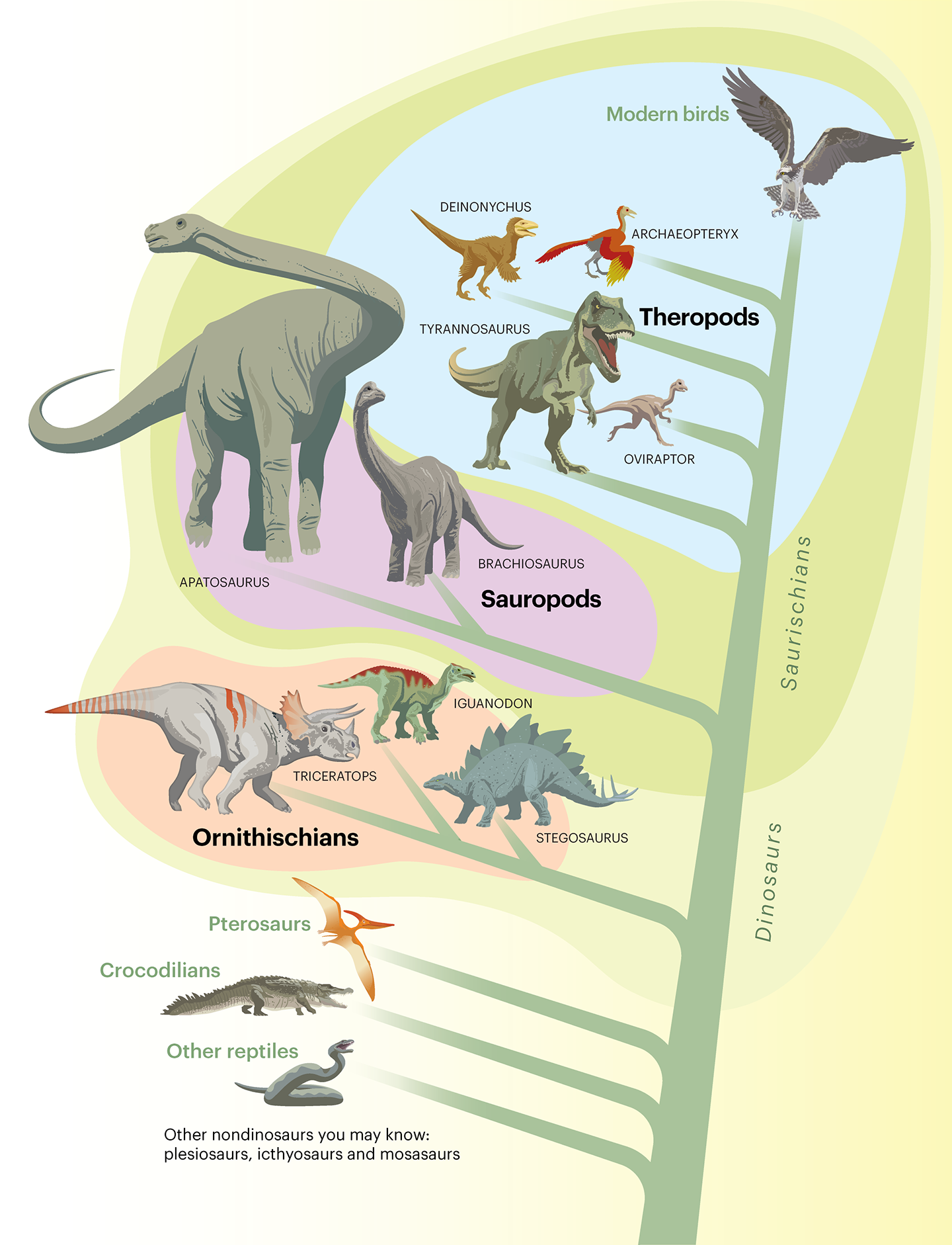 Could Spinosaurus swim? That would make it a game changer