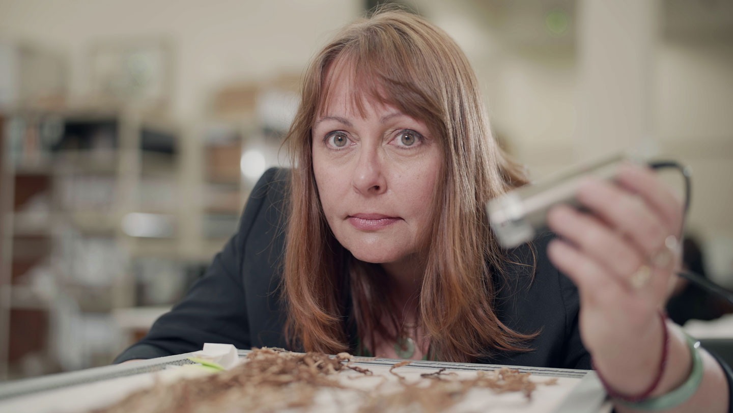 How torchlight, lamps and fire illuminated Stone Age cave art