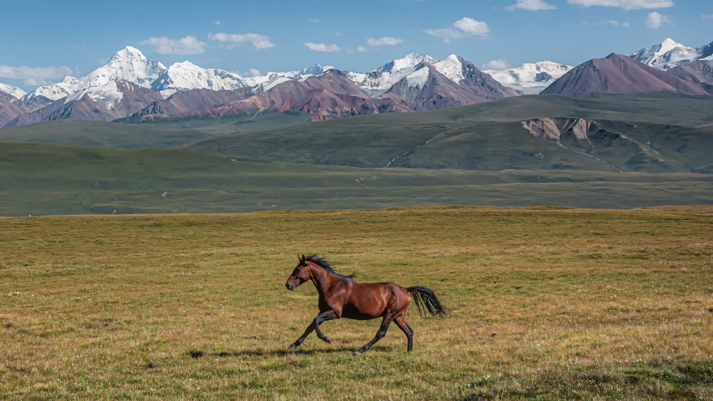 Scientists Say: Steppe