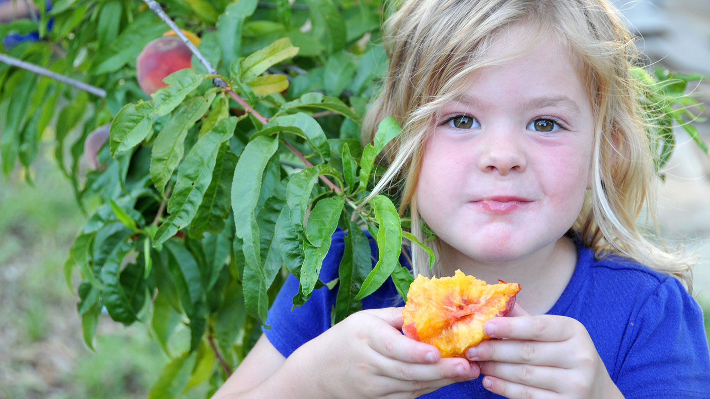 Brain scans reveal where taste and smell combine to become flavor